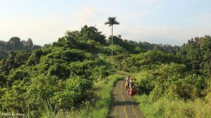 Ubud Campuhan Ridge Walk Hiking – Bali Day Trip